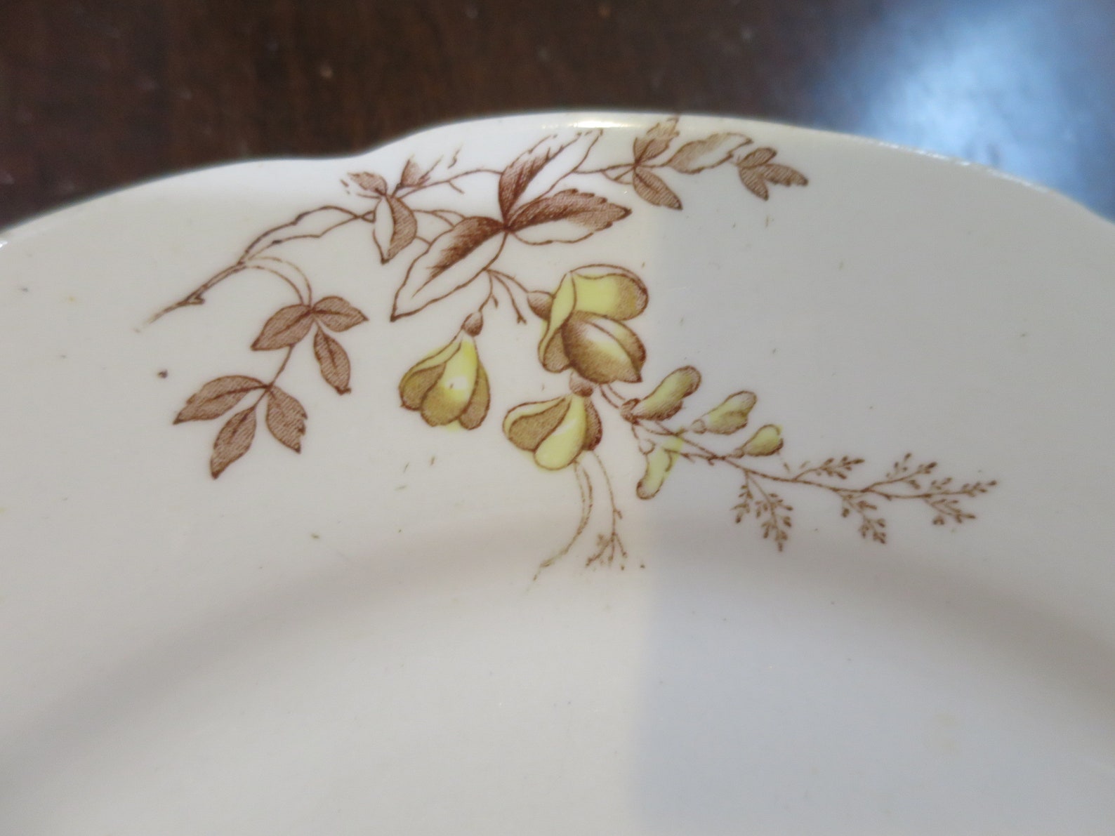 2 John Edwards Ironstone Plates Luxemburg Sweet Peas Antique | Etsy