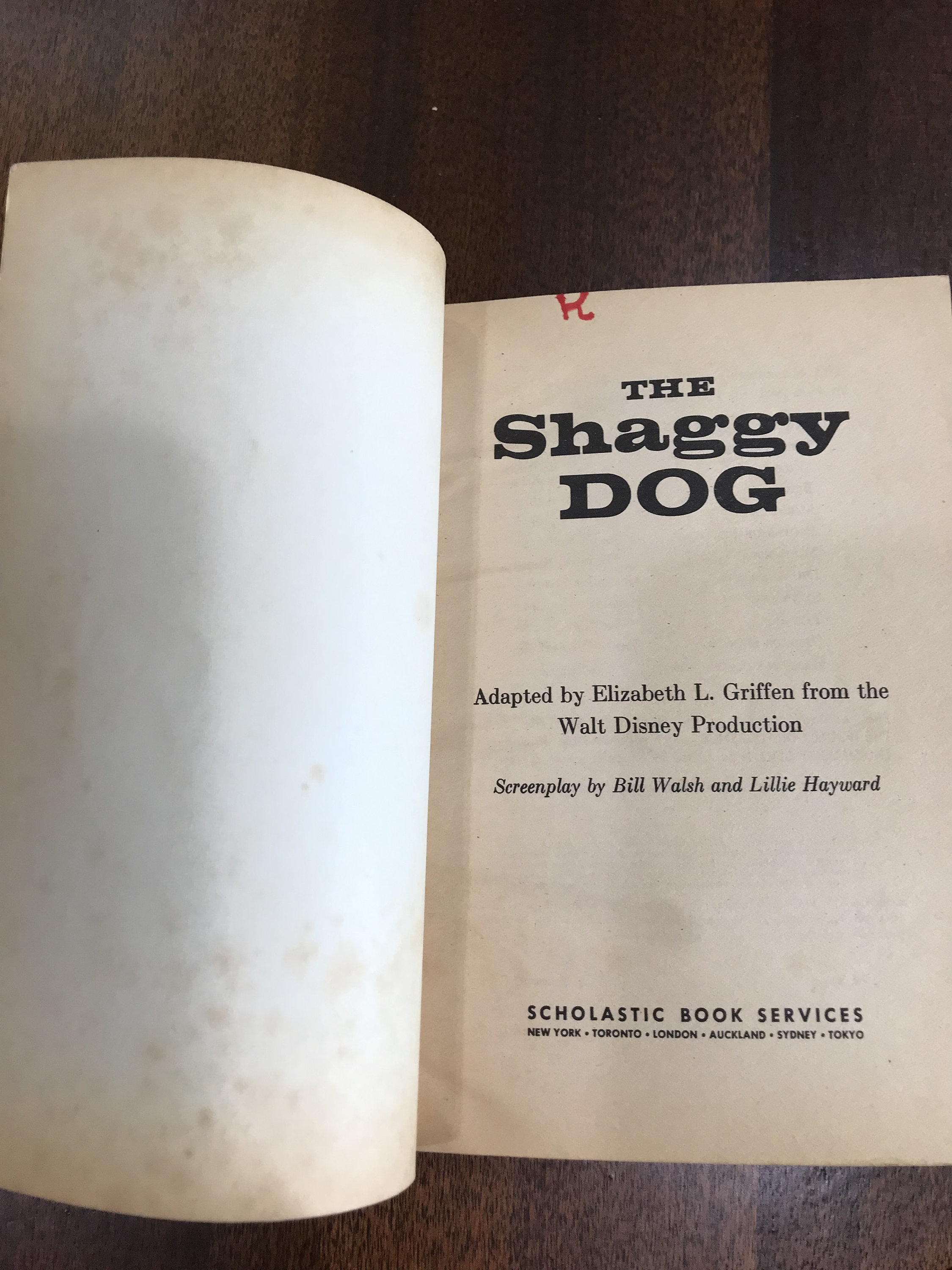 Vintage Walt Disney's the Shaggy Dog Book, 1975 Scholastic Edition - Etsy