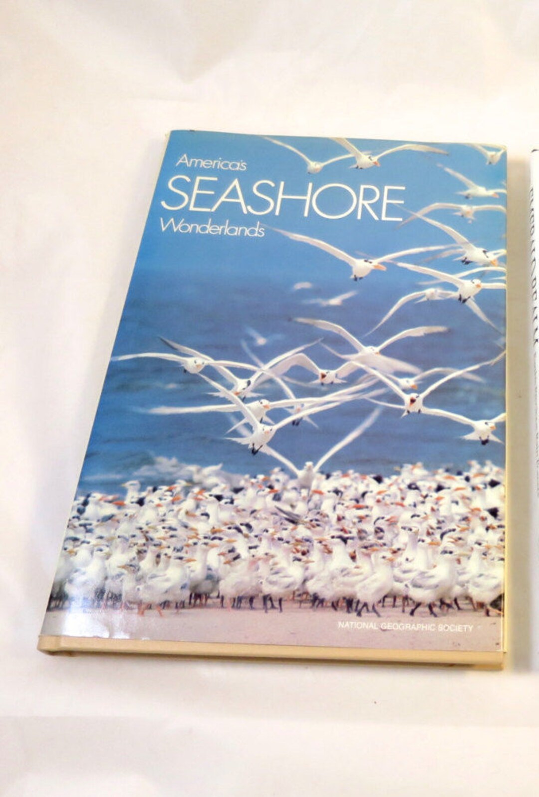 National Geographic Photo Book Seashore Wonderlands Picture Book 1985 ...