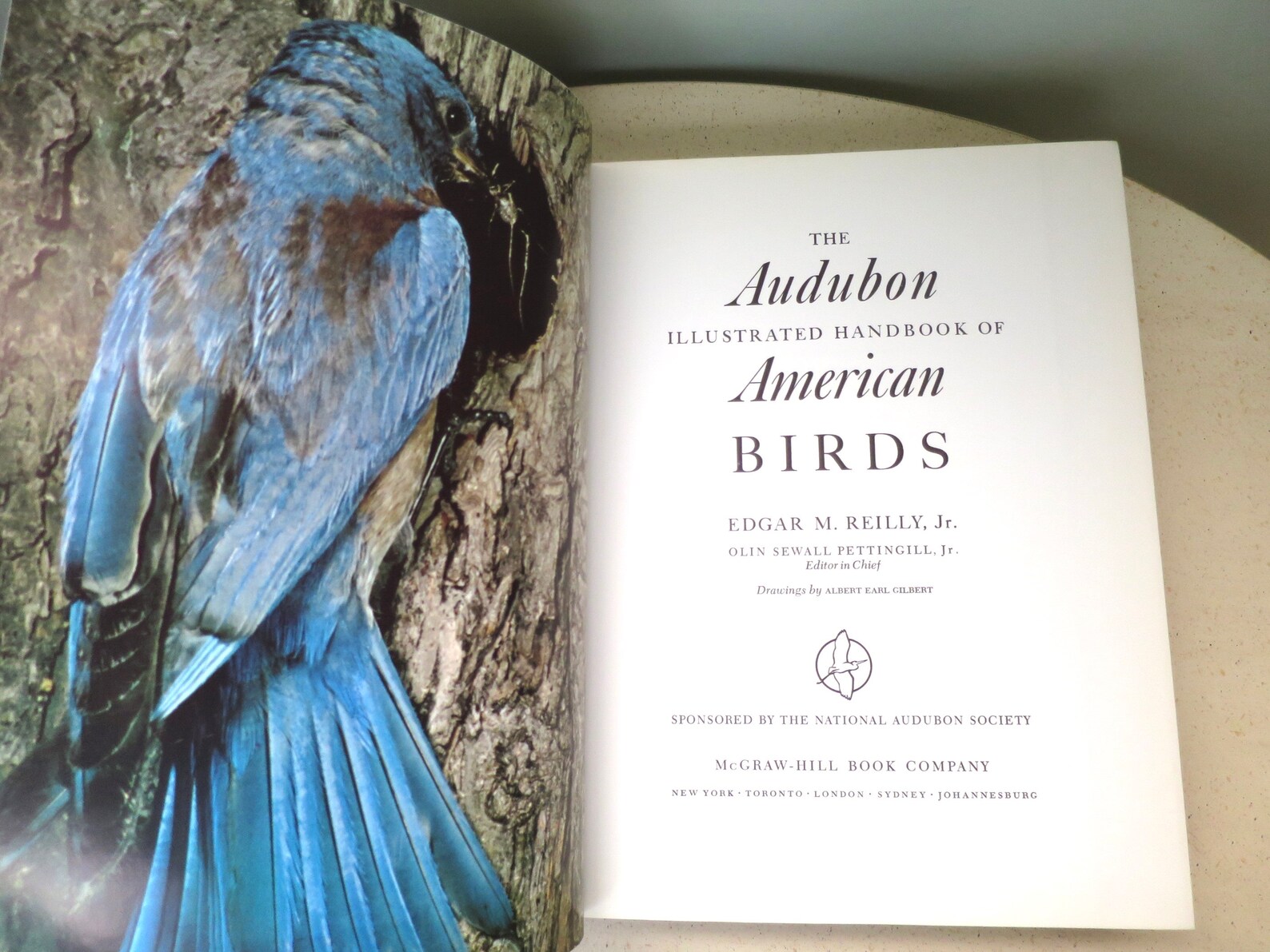 Audubon American Birds Book 1968 Illustrated Handbook Vintage | Etsy