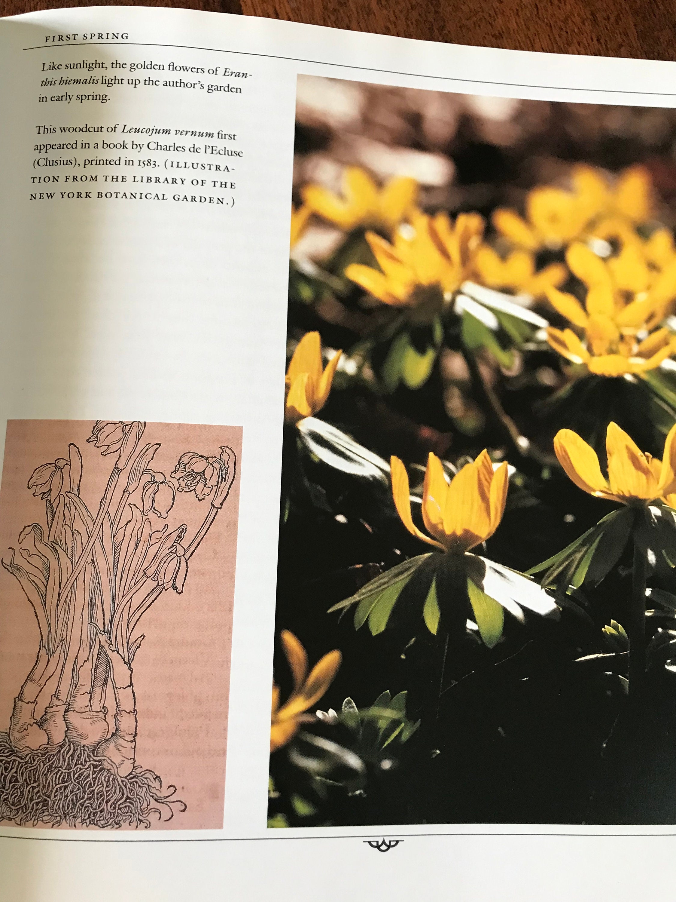 American Gardeners World of Bulbs Book Bulbs for Formal, Informal ...