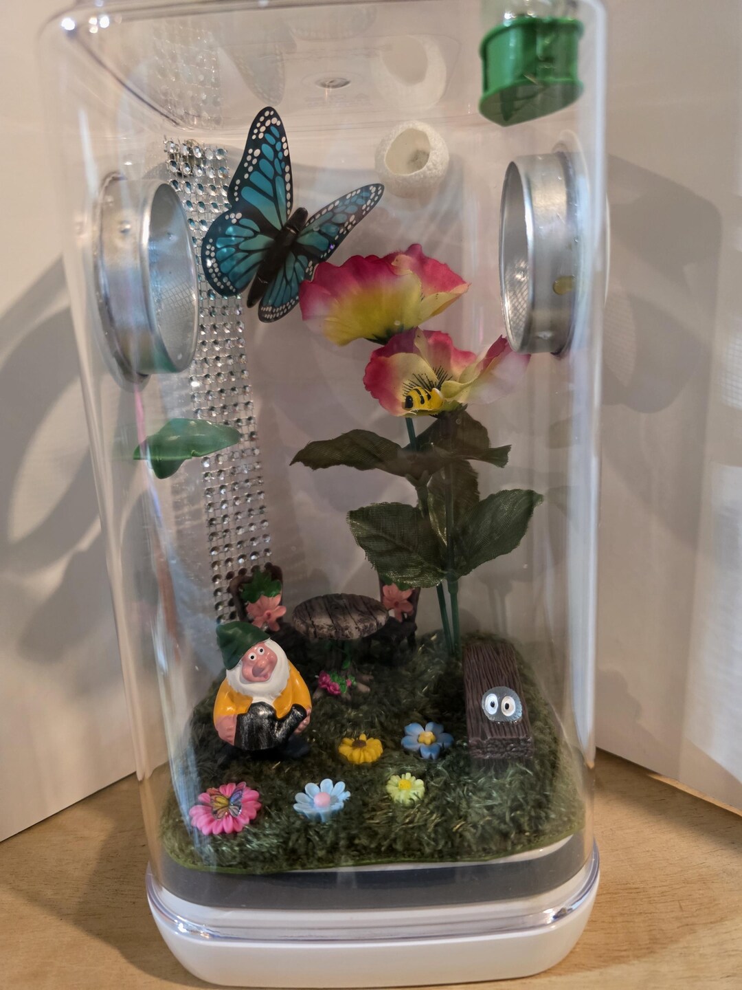 Jumping Spider Enclosure - Etsy