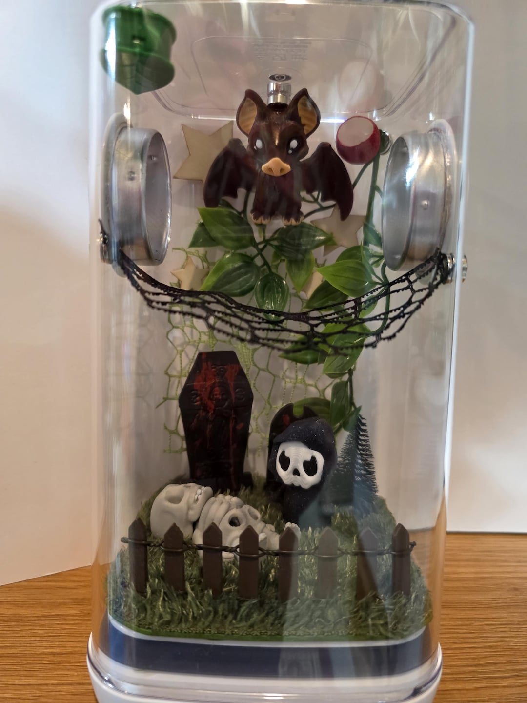 Jumping Spider Enclosure - Etsy