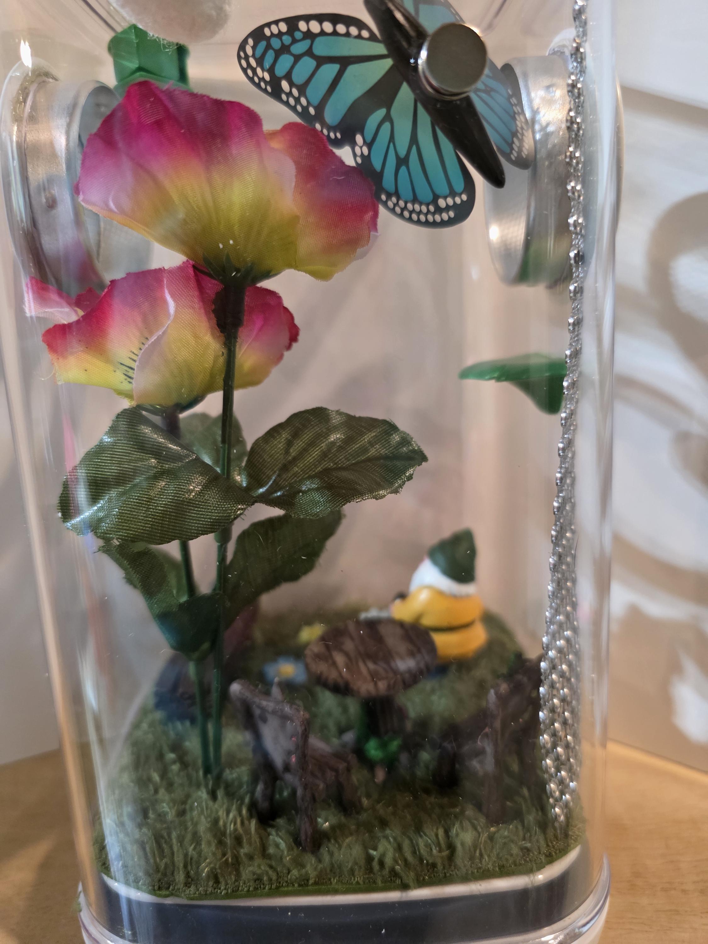 Jumping Spider Enclosure - Etsy