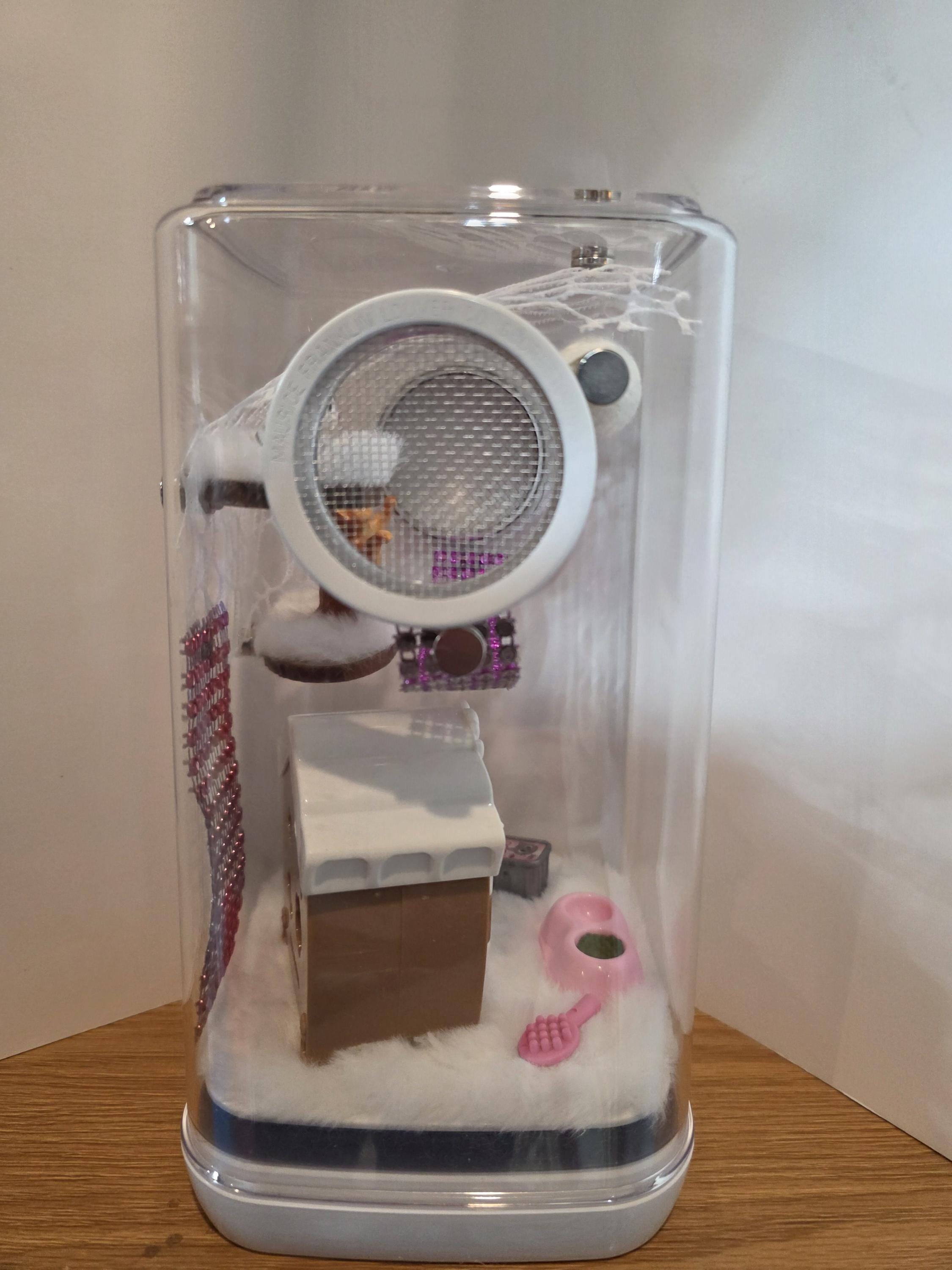 Jumping Spider Enclosures - Etsy