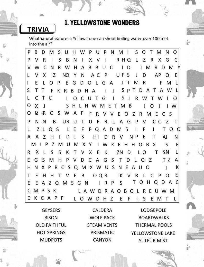 US National Park Word Search Book | 100 Large Print Puzzles | Travel ...