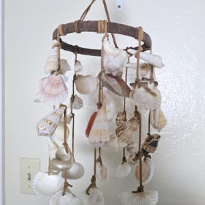 Sea Shell Wind Chime - Etsy