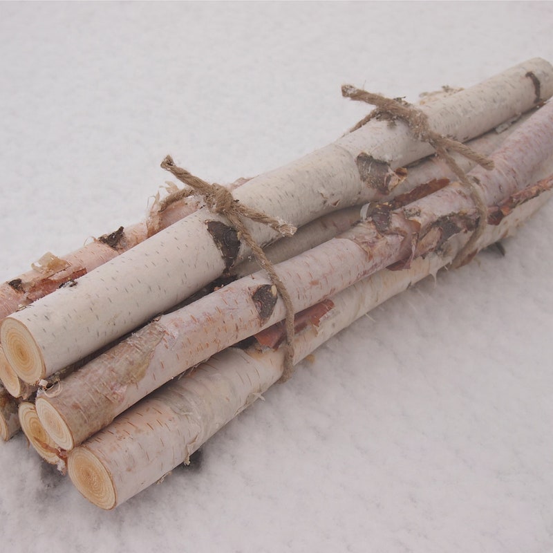 Birch Logs - Etsy