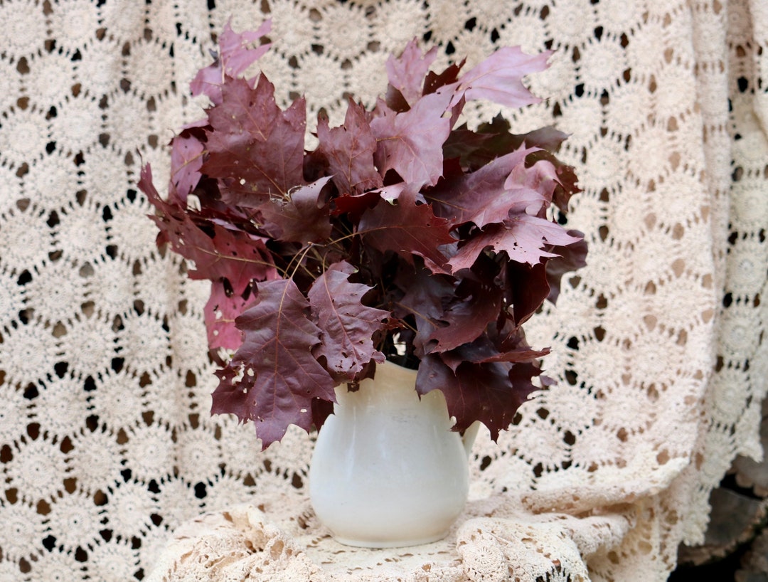 Real Fall Preserved Oak Leaves, Rustic Wedding, Burgundy Leaves ...