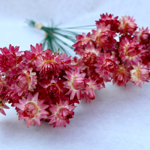 Single Stem Flowers - Etsy