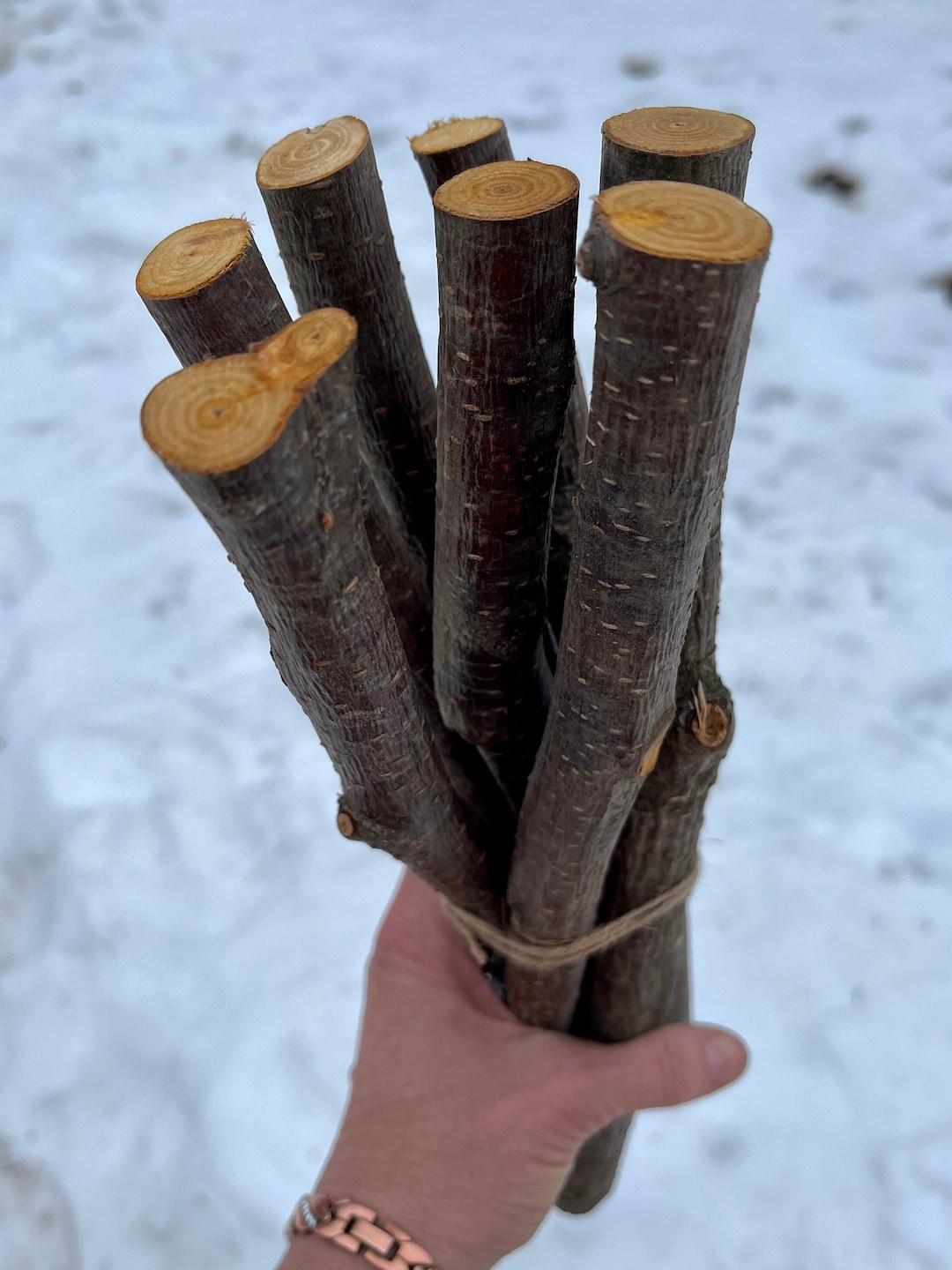 7 DIY Wands 12 Inch Natural Alder Branches, Organic Alder Wood - Etsy