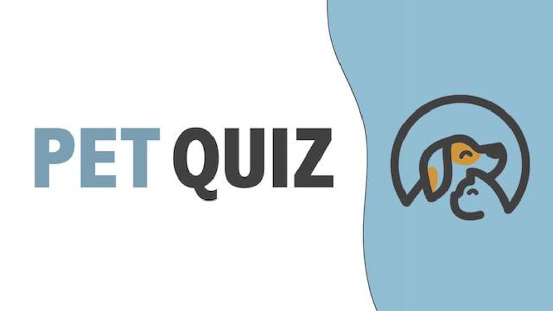 Fun Pet Trivia Quiz Game (powerpoint & JPEG) - Etsy