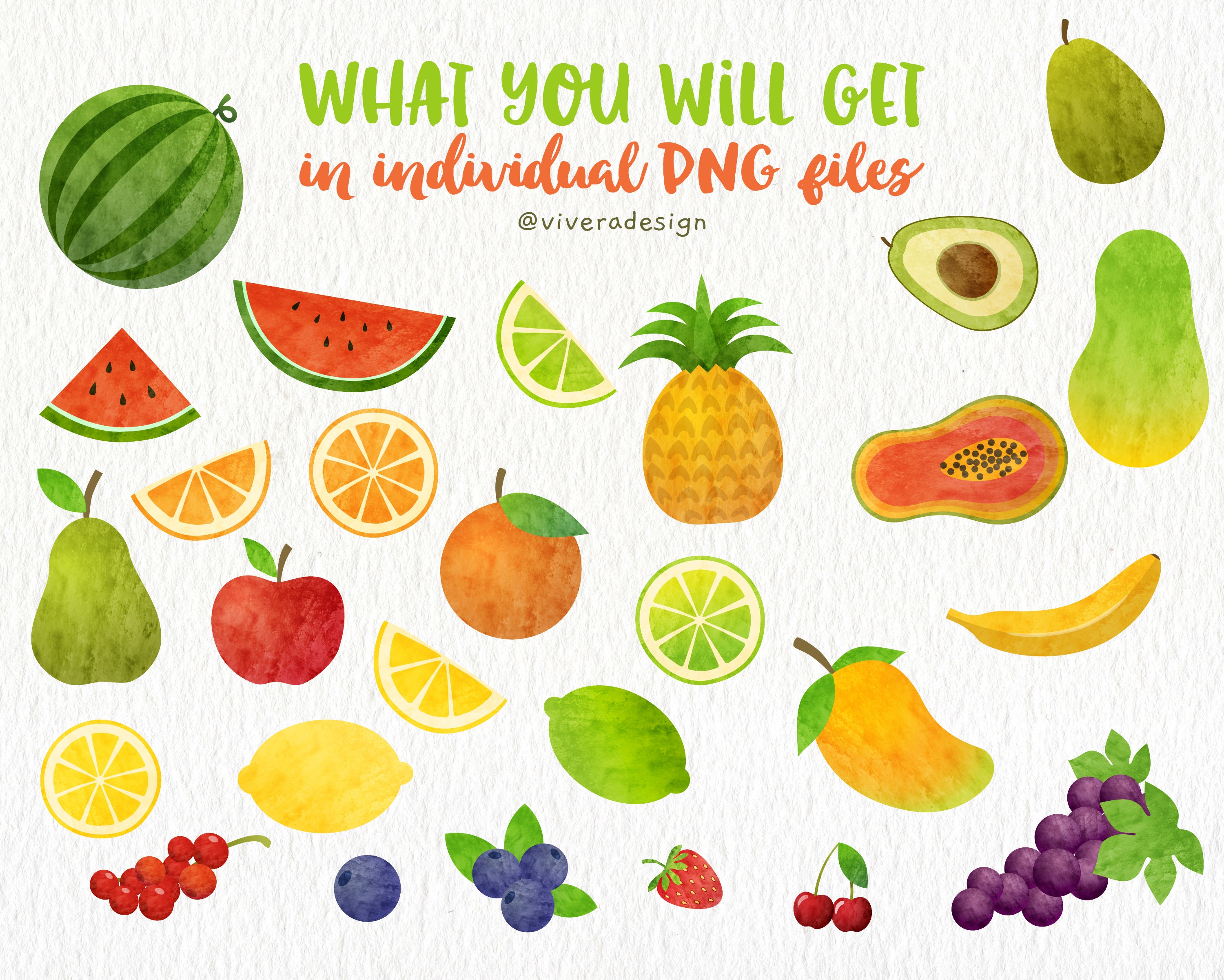 Watercolor Fruit Clip Art: Tropical Fruits Illustration (digital ...
