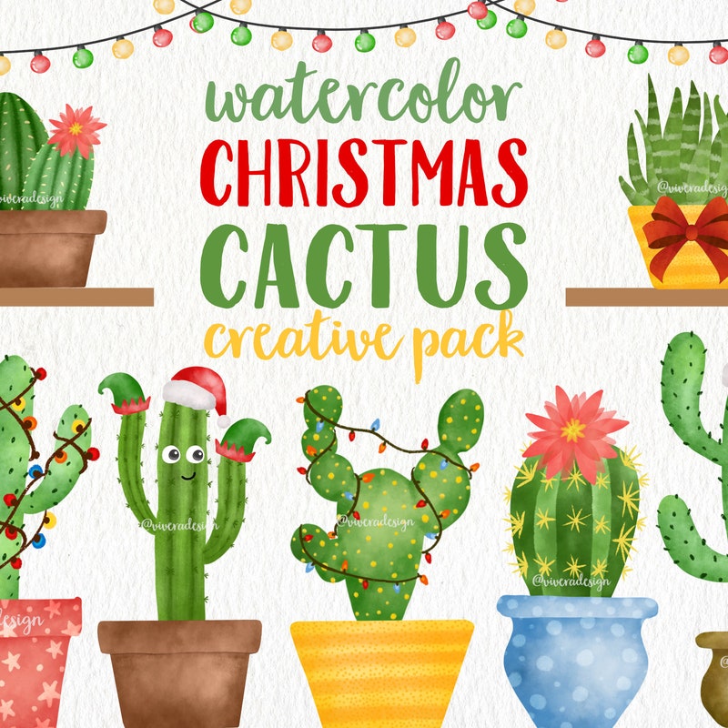 Christmas Cactus - Etsy