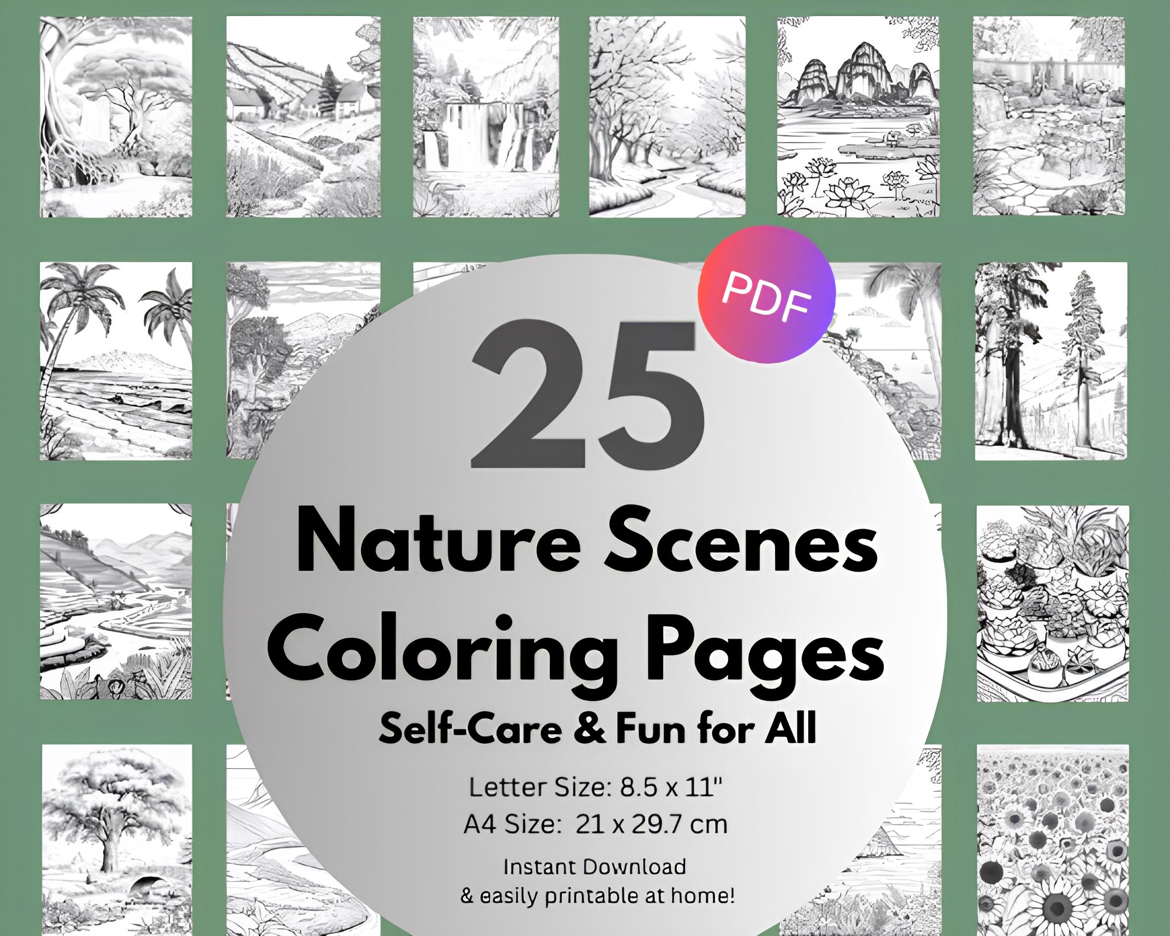 25 Nature Scenes Coloring Pages - Etsy