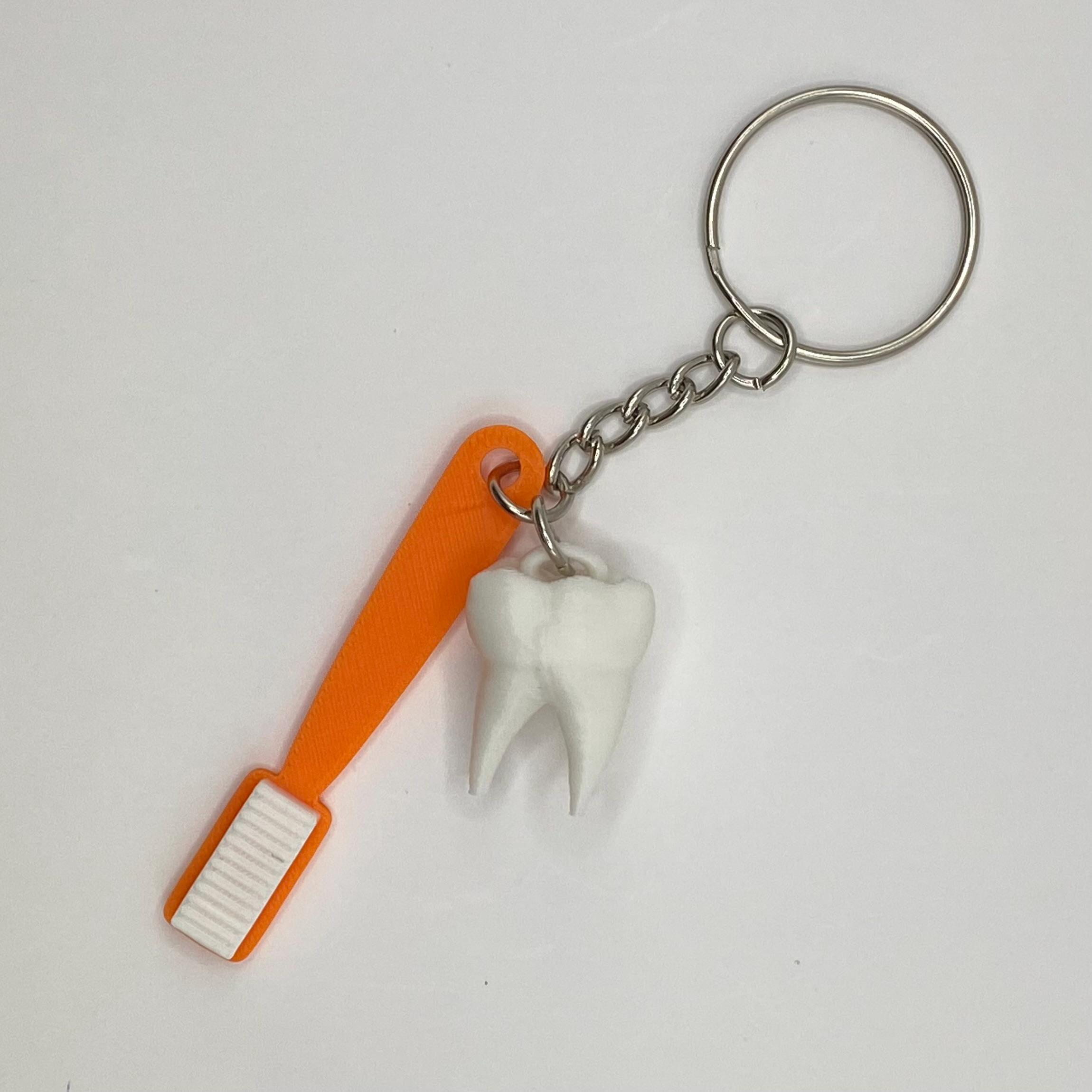 Tooth and Toothbrush Keychain 3D Printed Miniature in Different Colors ...