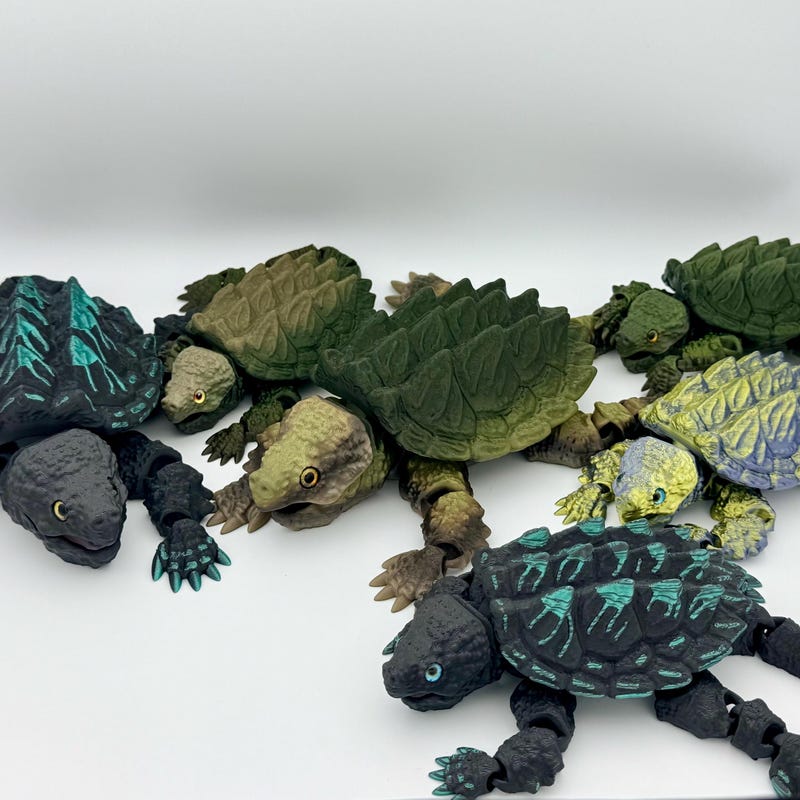 Capsule Turtle - Etsy