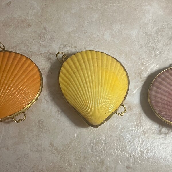 Shell Pill Box - Etsy