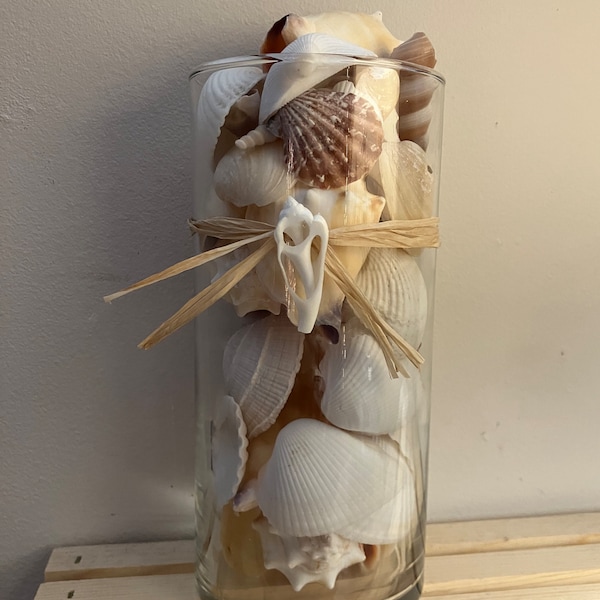Sea Shell Vase - Etsy