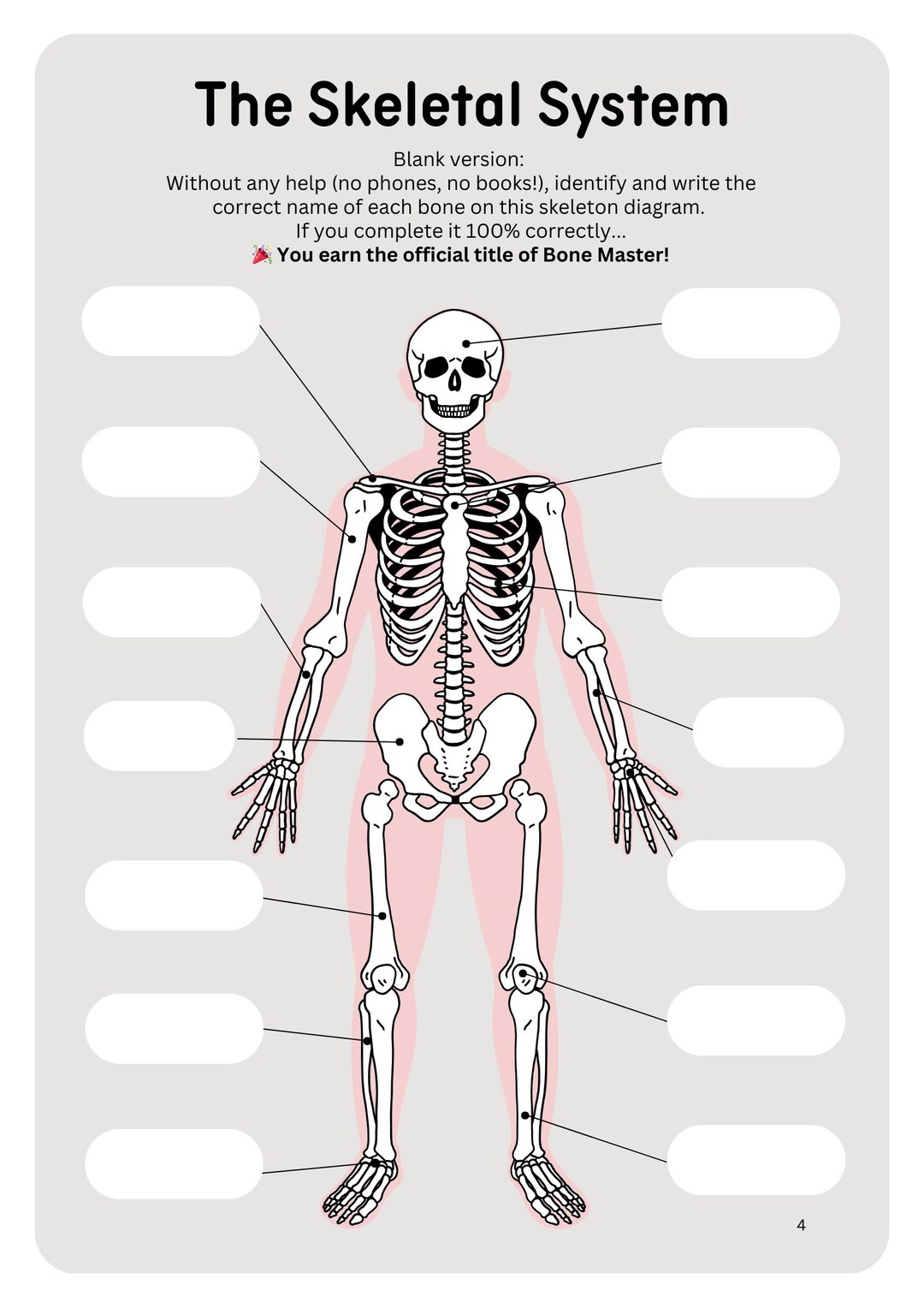 Skeletal System Worksheet | Anatomy Learning Printable for Health Cares ...