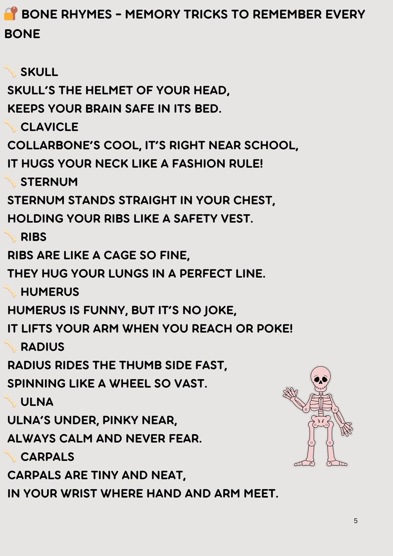 Skeletal System Worksheet | Anatomy Learning Printable for Health Cares ...