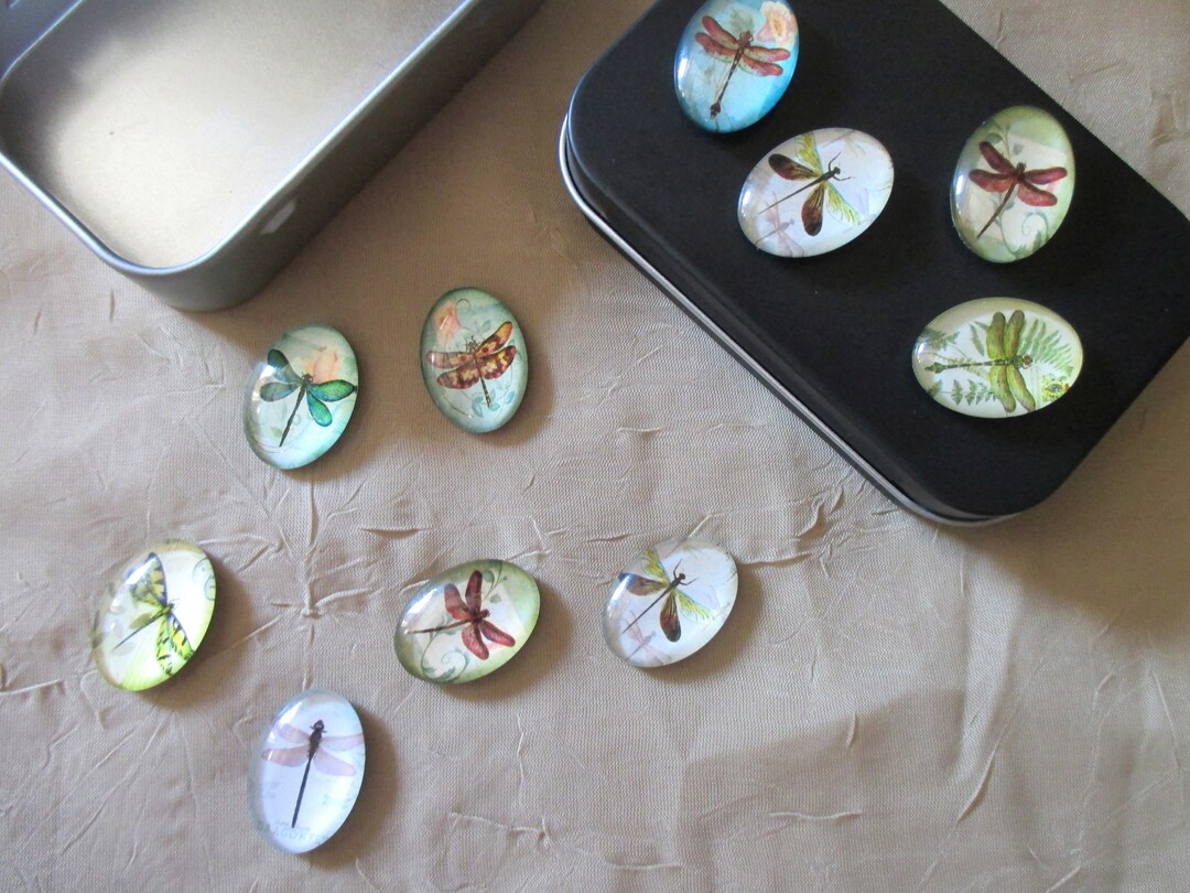 Magnets in Tin Dragonfly Magnets in a Hinged Lid Tin - Etsy