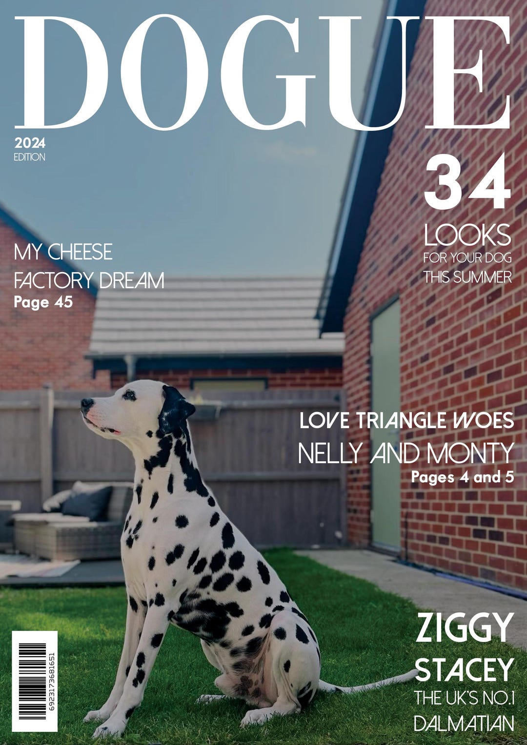 Bespoke Made Front Cover Pet Portraits Turned Into Mock up Fashion ...