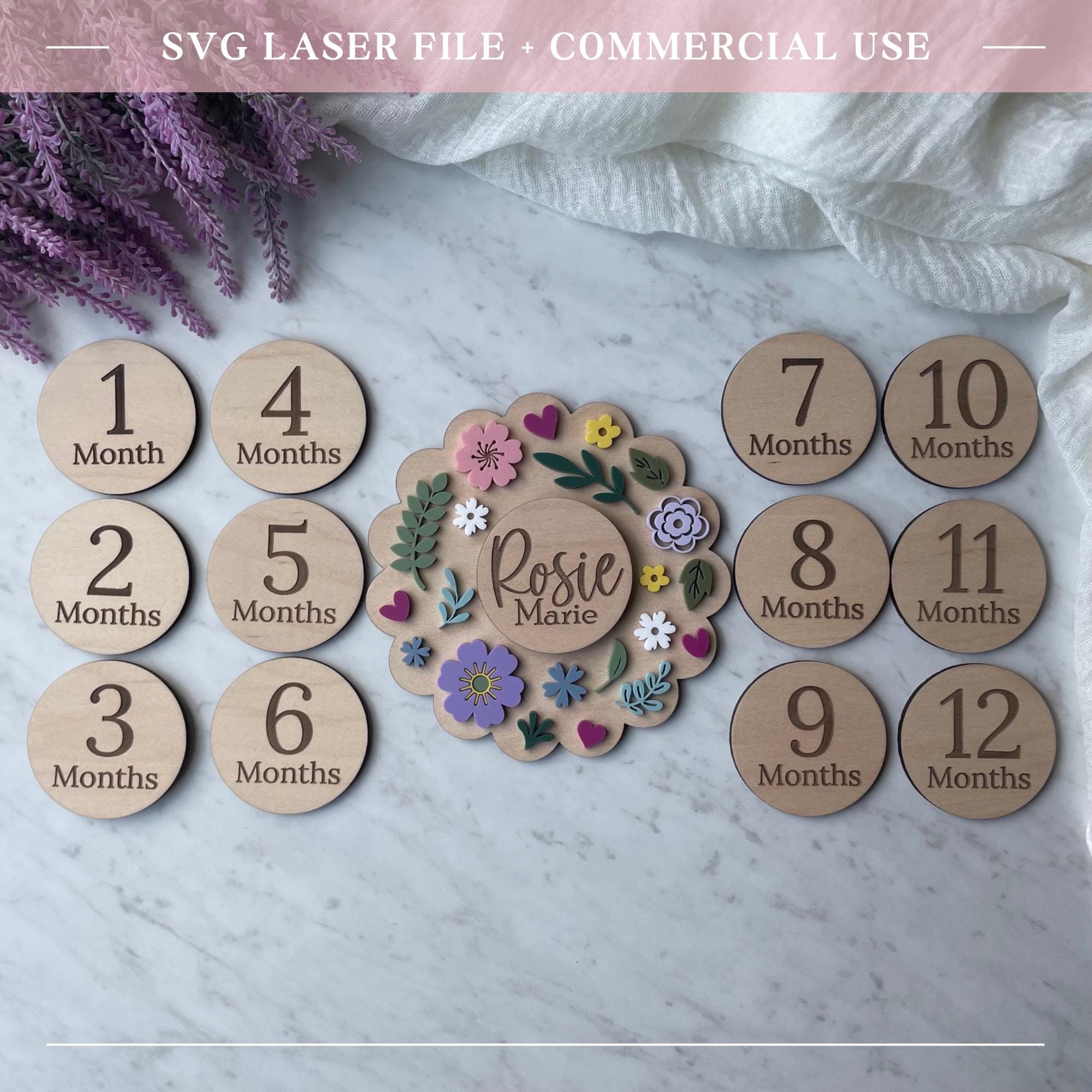 Baby Milestone Bundle Disk Disc SVG Monthly Photo Prop Interchangeable ...
