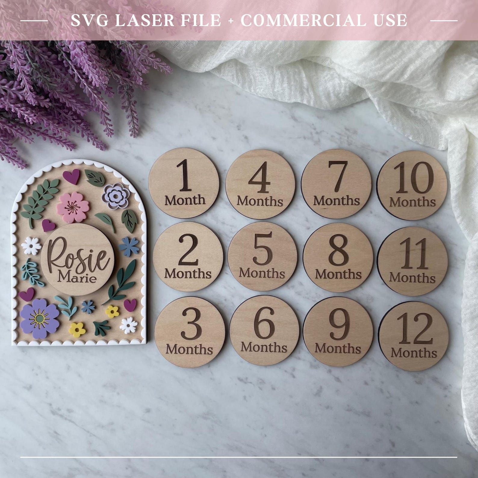 Baby Milestone Bundle Disk Disc SVG Monthly Photo Prop Interchangeable ...