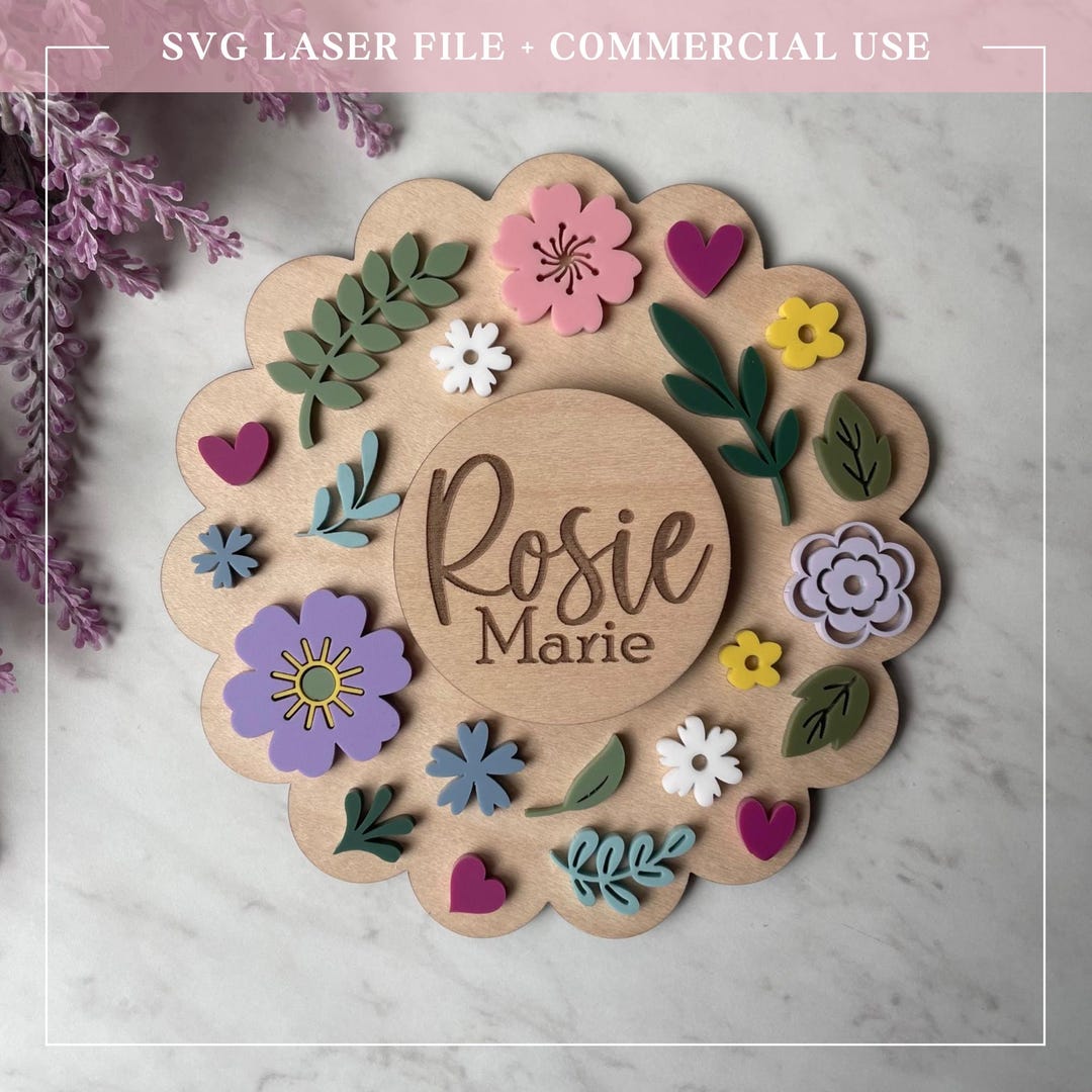 Baby Milestone Round Disk Disc SVG Monthly Photo Prop Interchangeable ...