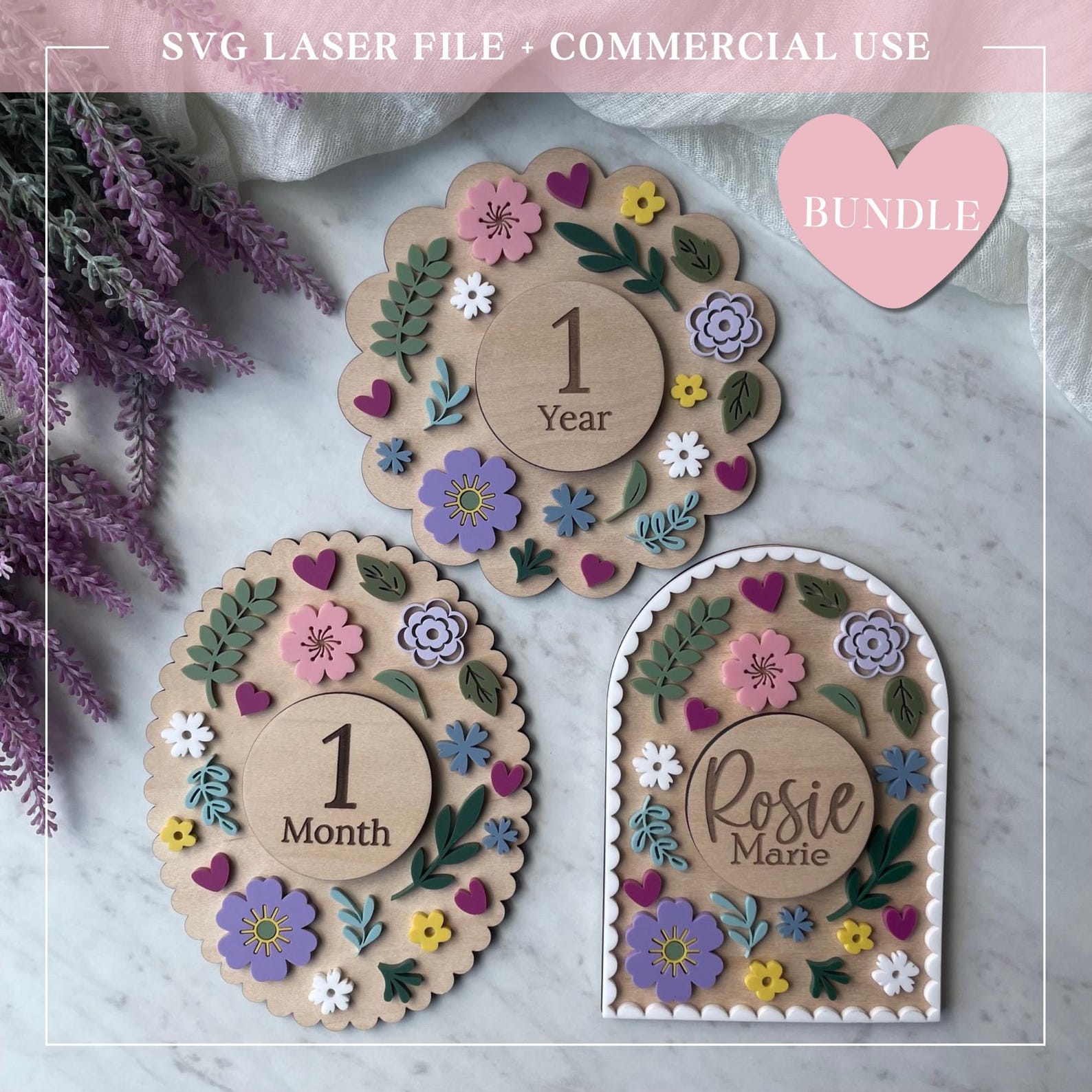 Baby Milestone Bundle Disk Disc SVG Monthly Photo Prop Interchangeable ...