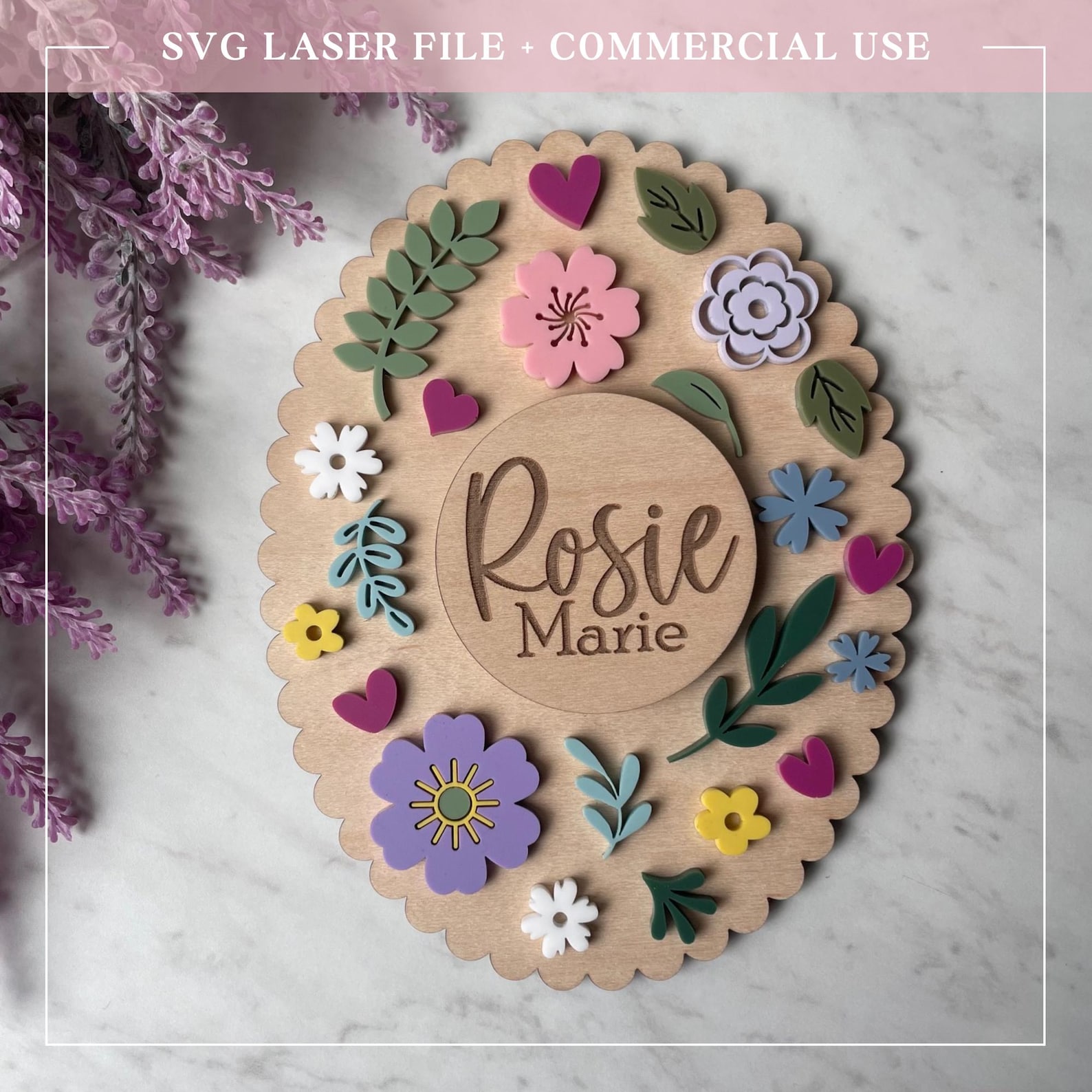 Baby Milestone Bundle Disk Disc SVG Monthly Photo Prop Interchangeable ...