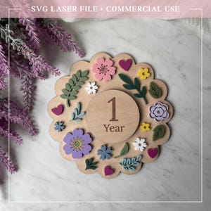 Baby Milestone Bundle Disk Disc SVG Monthly Photo Prop Interchangeable ...