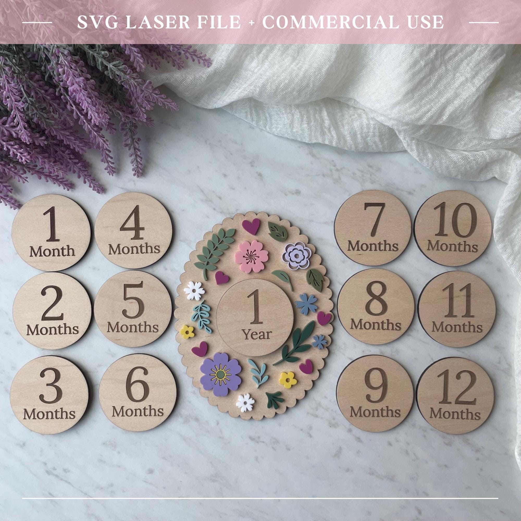 Baby Milestone Bundle Disk Disc SVG Monthly Photo Prop Interchangeable ...