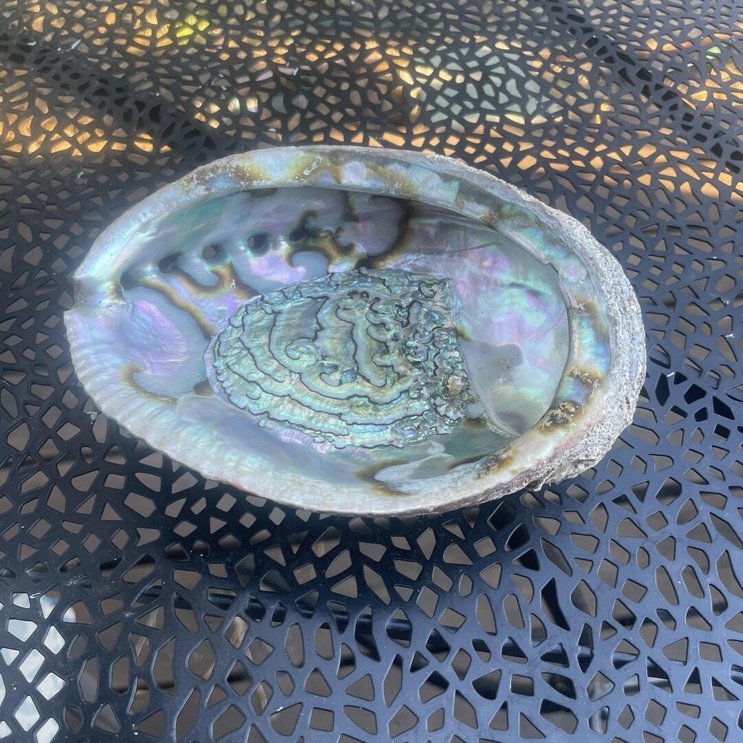 Vintage Large 6" Abalone Shell, Smudging Bowl - Etsy