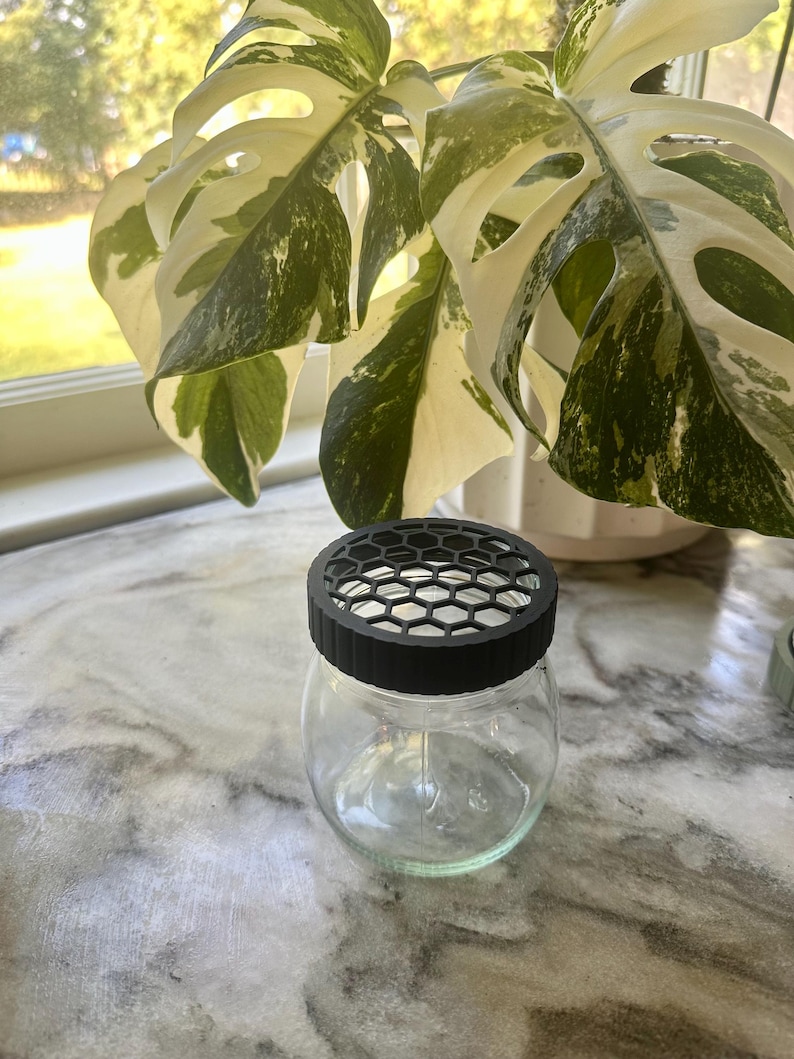 Propagation Jars for Plant Cuttings - Etsy