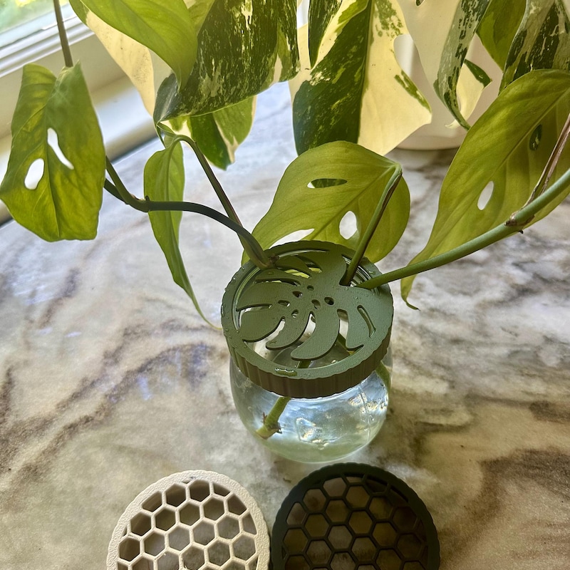 Propagation Jar Holder - Etsy