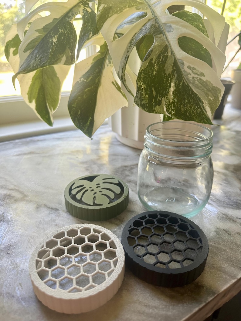 Propagation Jars for Plant Cuttings - Etsy