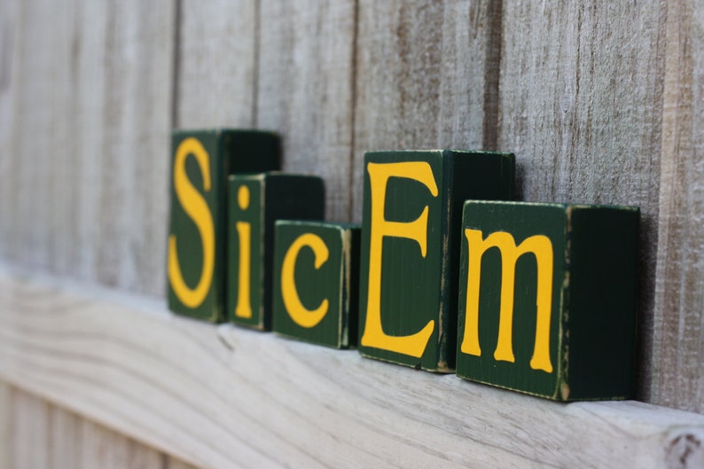 CUSTOM COLLEGE BLOCKS - Sic Em - Baylor Bears - University Texas - Home ...