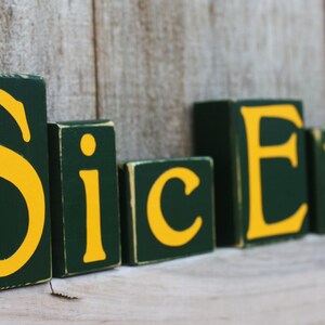 CUSTOM COLLEGE BLOCKS - Sic Em - Baylor Bears - University Texas - Home ...