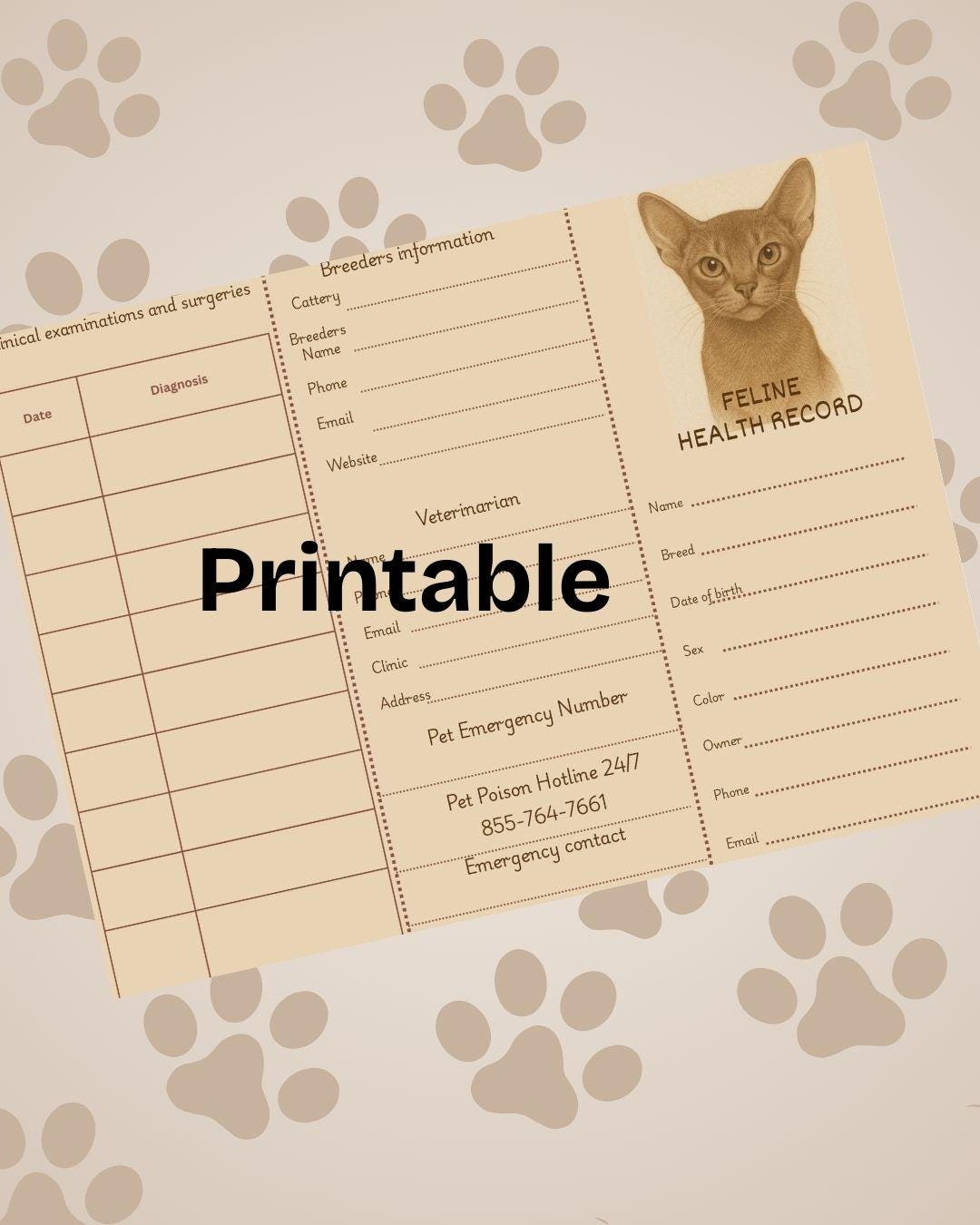 Digital Printable Feline Health Record, Cat Health Record, Abyssinian ...