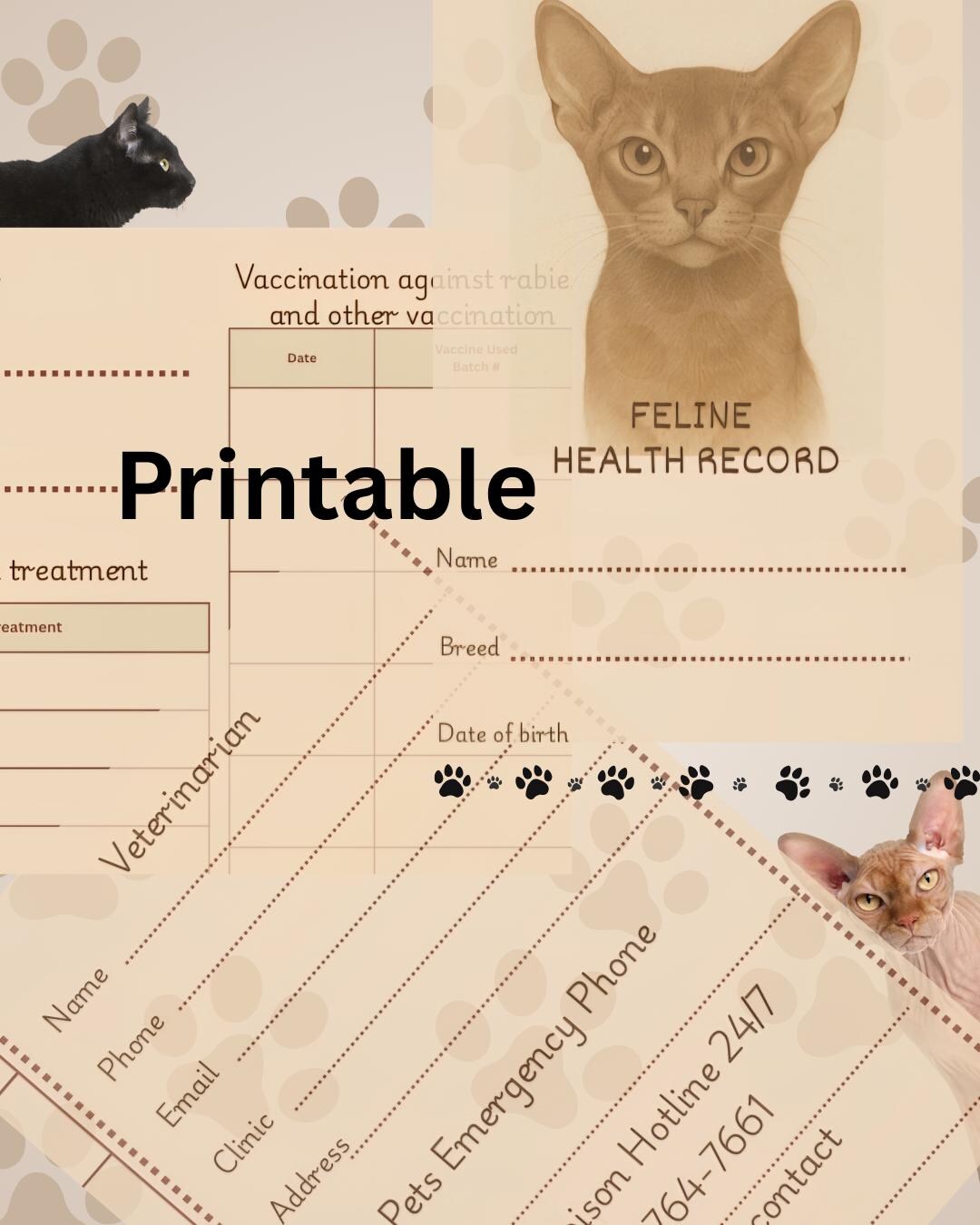 Digital Printable Feline Health Record, Cat Health Record, Abyssinian ...