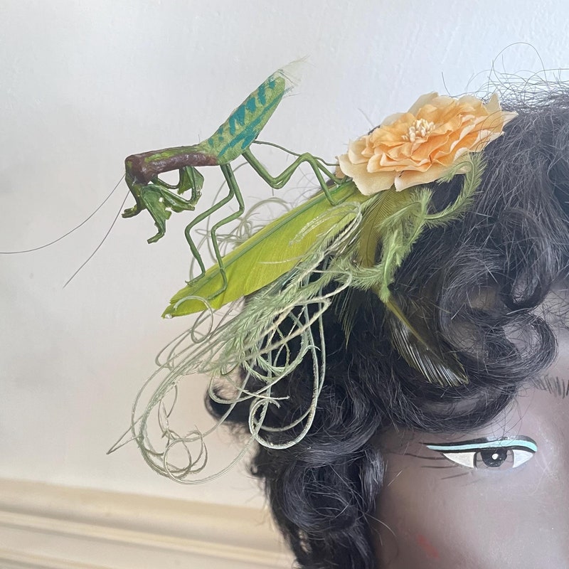 Praying Mantis Costume - Etsy