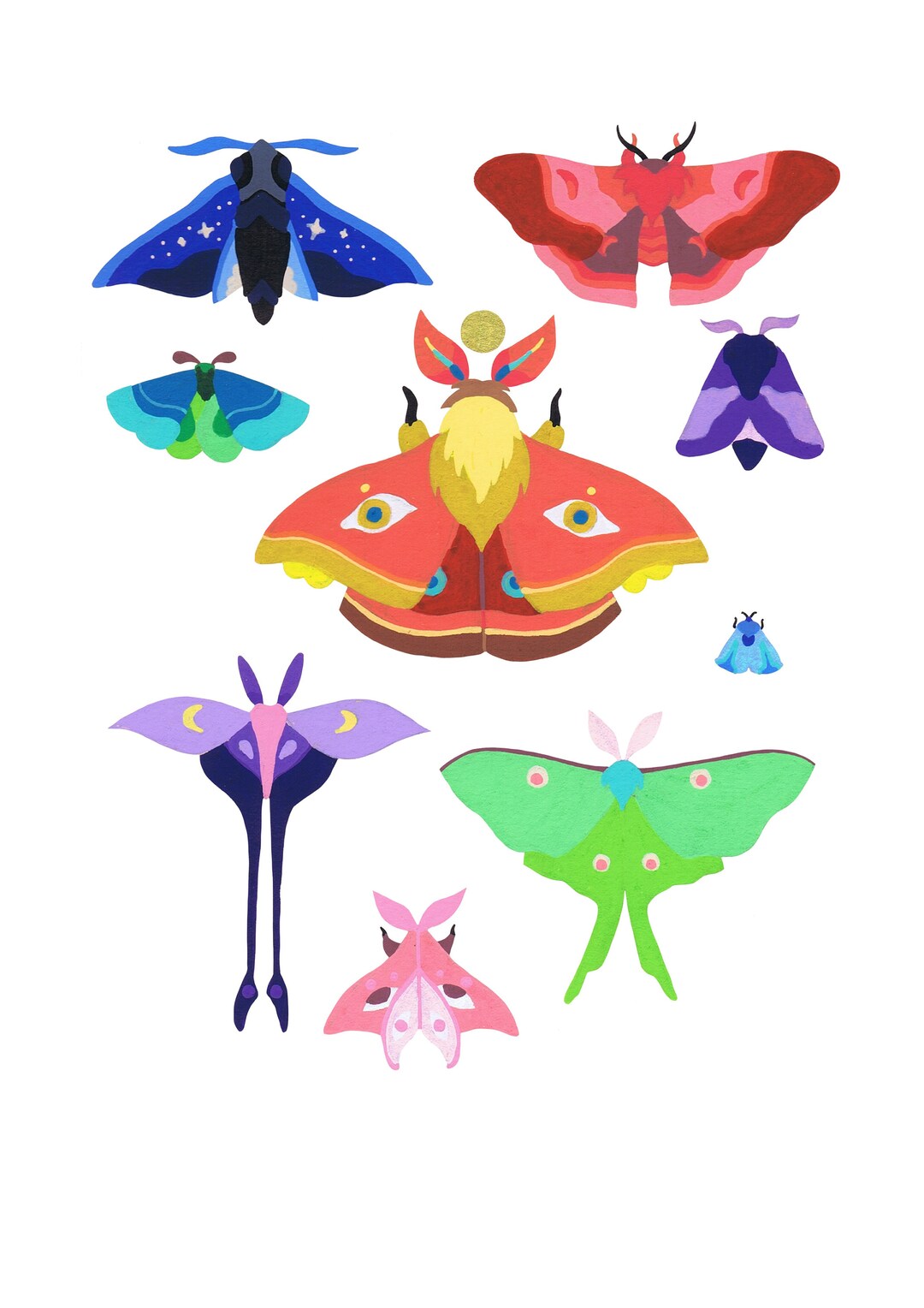 An Eclipse of Moths Giclee Fine Art Print Bugs, Insects, Scientific Illustration - Etsy