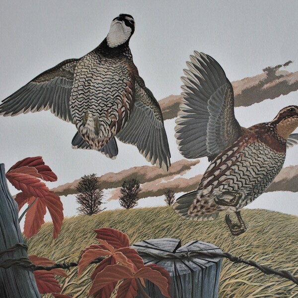 Richard Sloan Bird Print - Etsy