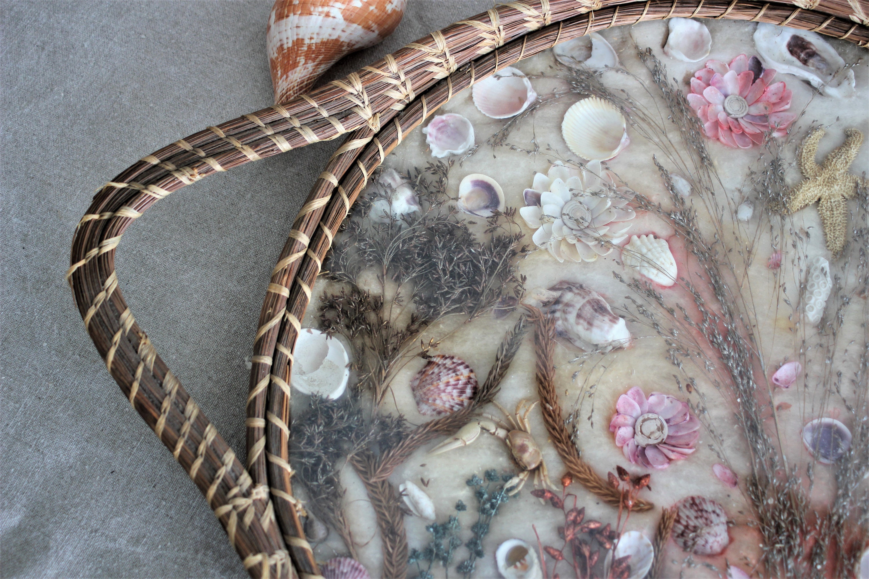 Large Vintage Sea Shells Under Glass Tray With Pine Needle | Etsy