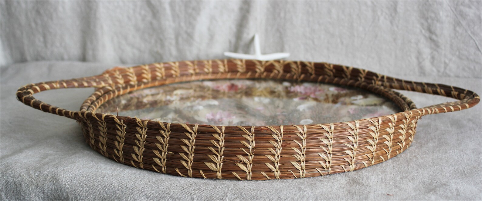 Large Vintage Sea Shells Under Glass Tray With Pine Needle | Etsy