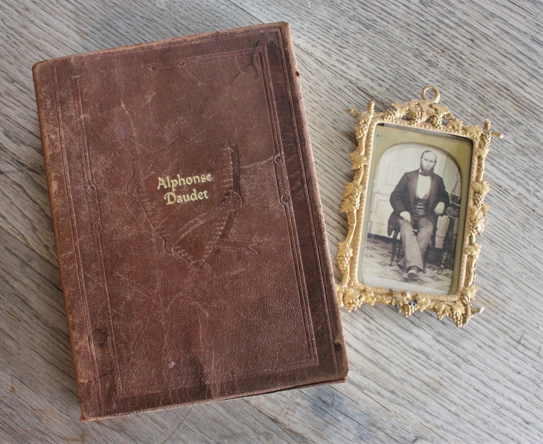 The Works of Alphonse Daudet Antique Soft Leather Book One Volume ...