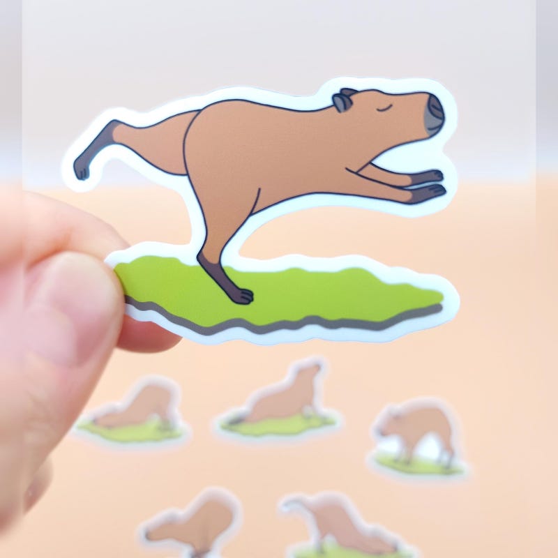 Capybara sticker für cars - Etsy.de