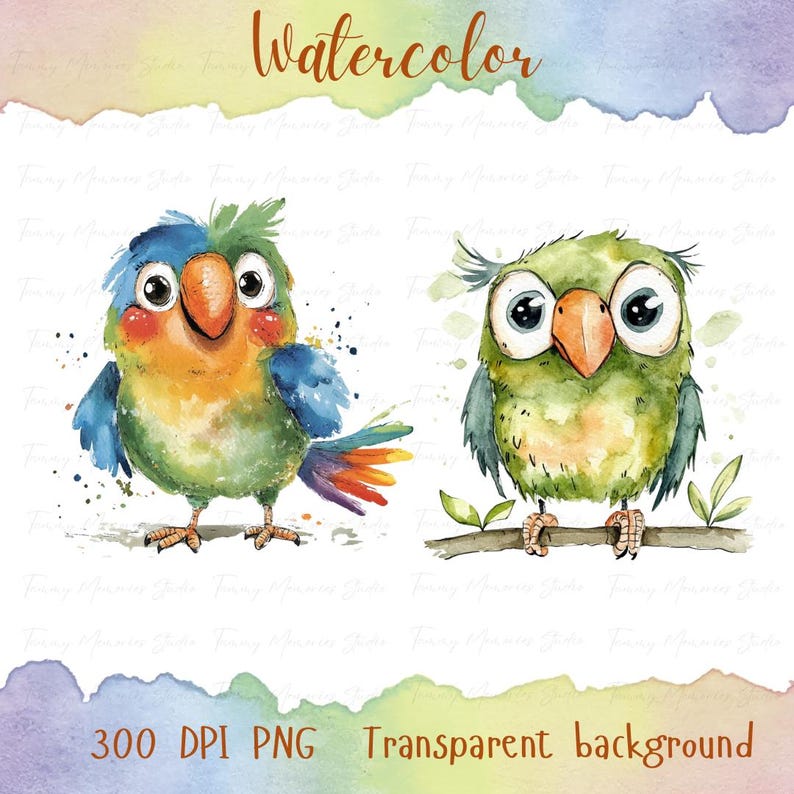 Watercolor Parrot Clipart Bundle, Cute Watercolor Parrot PNG for ...